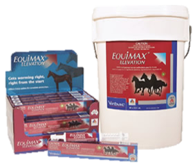 Virbac Equimax Elevation Wormer – Peats Ridge Equestrian Supplies