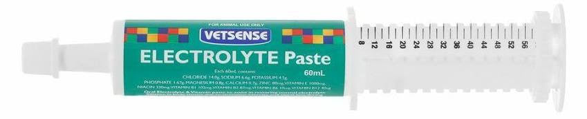 Vet Sense Electrolyte Paste 60g – Peats Ridge Equestrian Supplies
